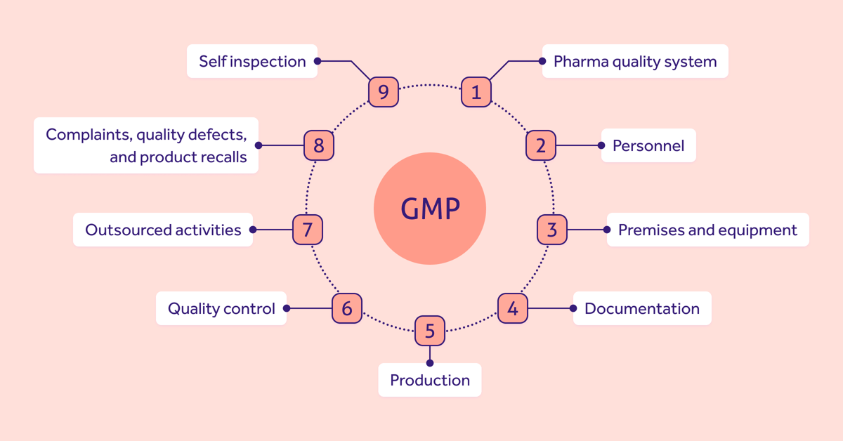 Good Manufacturing Practices (GMP) explained